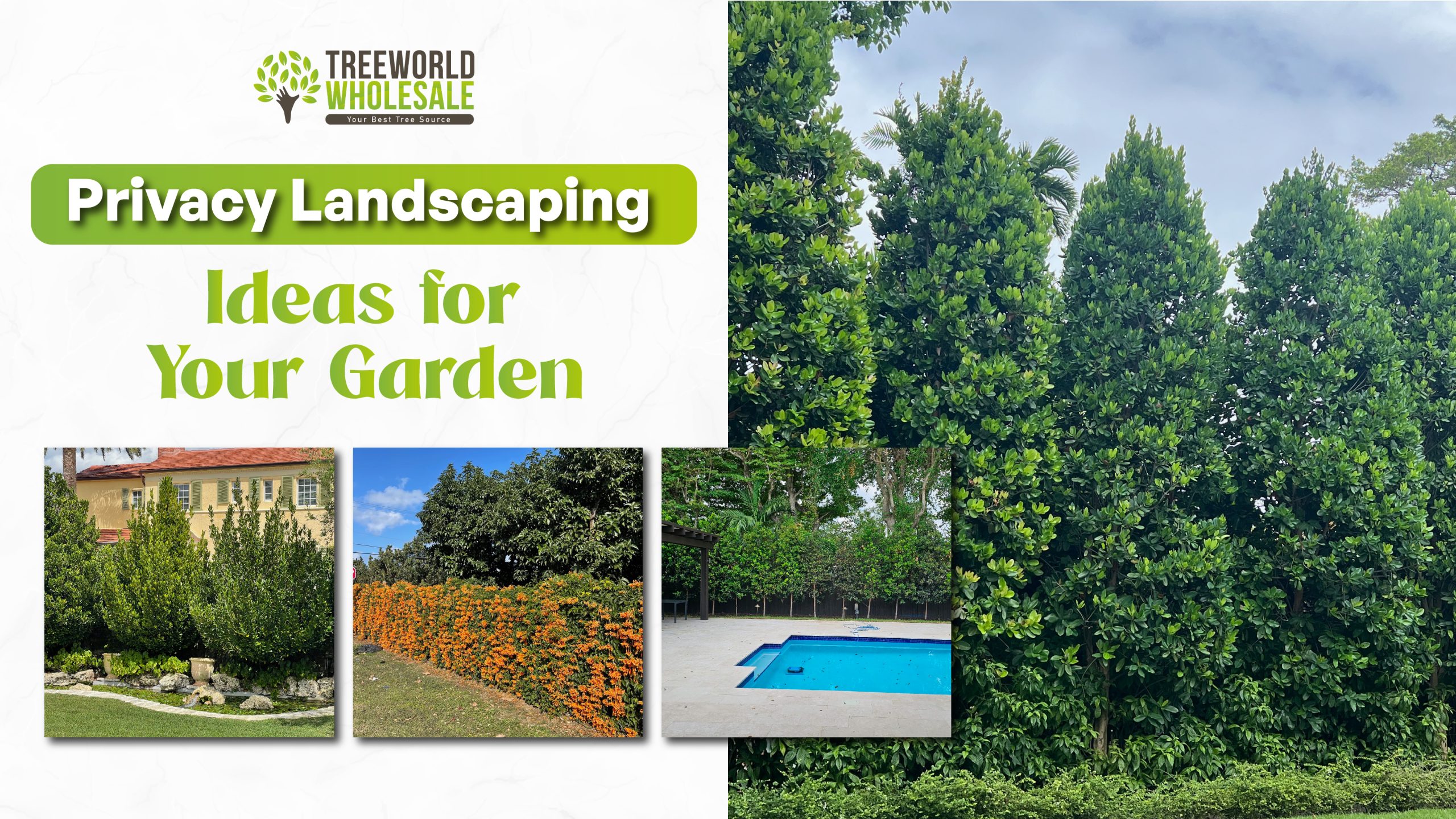 Privacy Landscaping Ideas for Your Garden